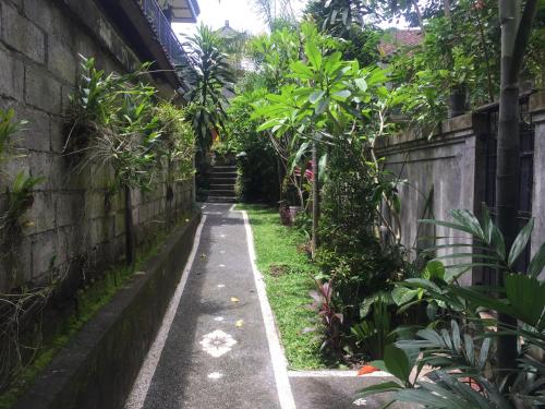 Pancer House, Ubud (updated prices 2025)