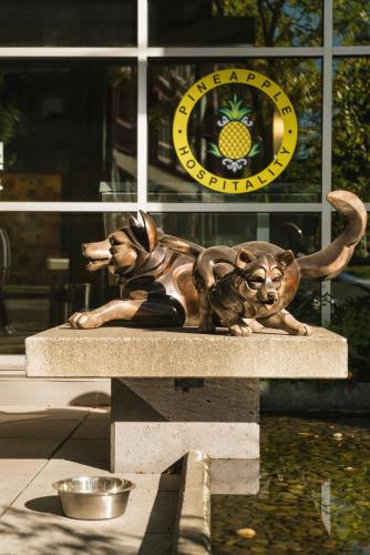 Staypineapple, Watertown Hotel, University District Seattle, Seattle ...