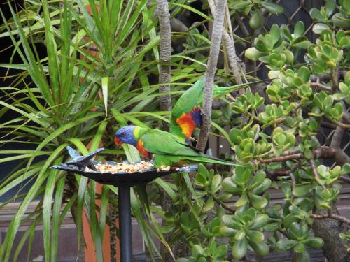 Nanango Fitzroy Motel, Nanango – Updated 2024 Prices