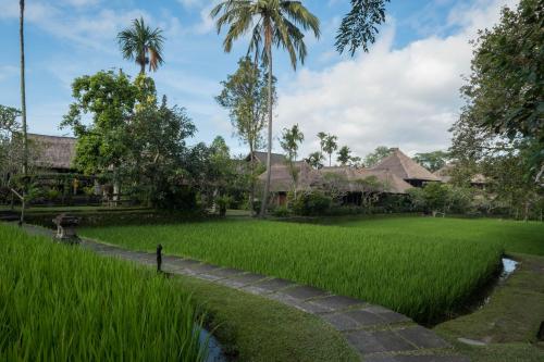 Ananda Ubud Resort, Ubud (updated prices 2025)