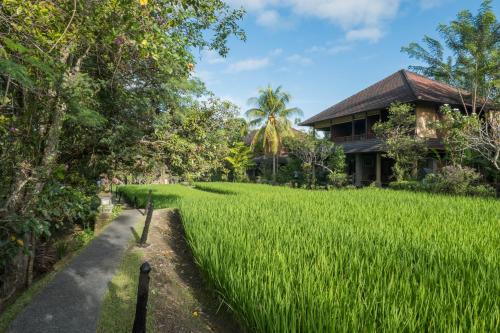 Ananda Ubud Resort, Ubud (updated prices 2025)