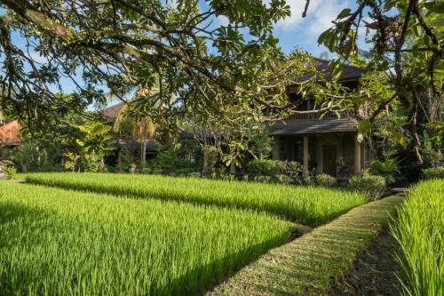 Ananda Ubud Resort, Ubud (updated prices 2025)