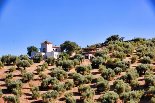 El Bujio- Luxury Cortijo, Montefrío (precios actualizados 2026)