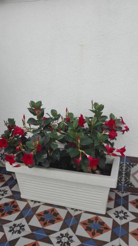 Demetra Rooms, Palermo (updated prices 2025)