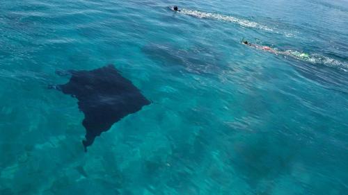 Riveli Retreat Mathiveri, Mathiveri – Updated 2023 Prices