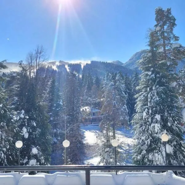 The 10 best hotels & places to stay in Borovets, Bulgaria - Borovets hotels