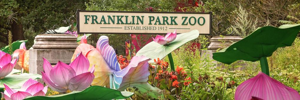 Are Dogs Allowed At Franklin Park Zoo