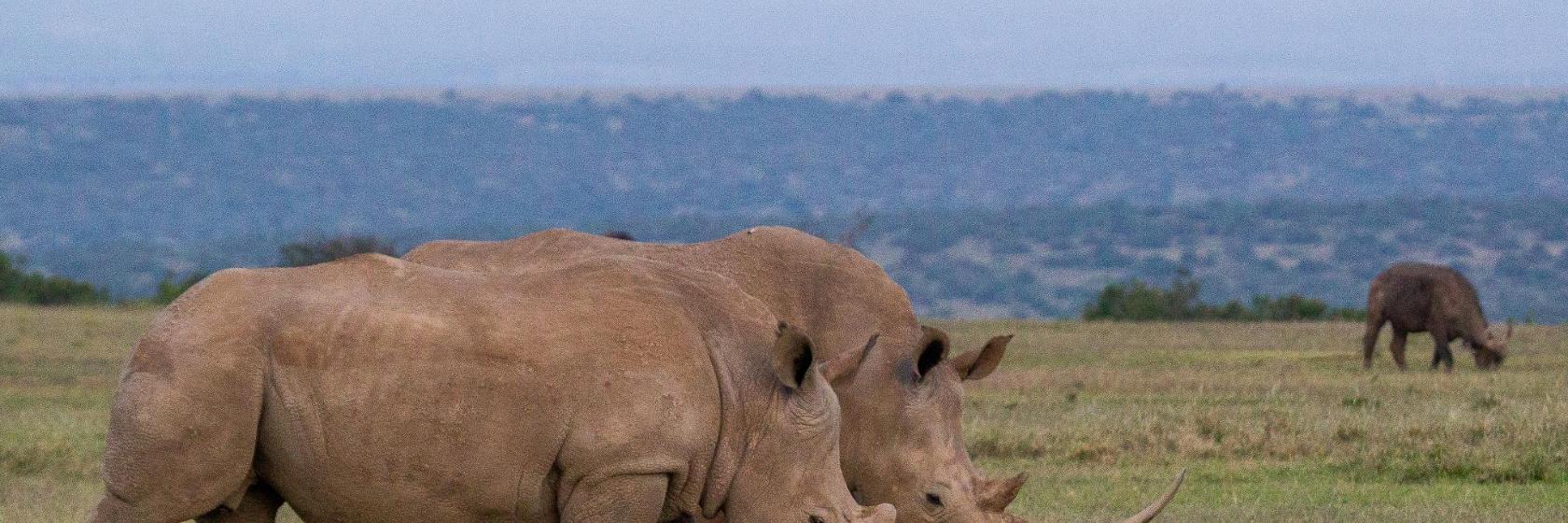 The best hotels near Solio Game Reserve in Mweiga, Kenya