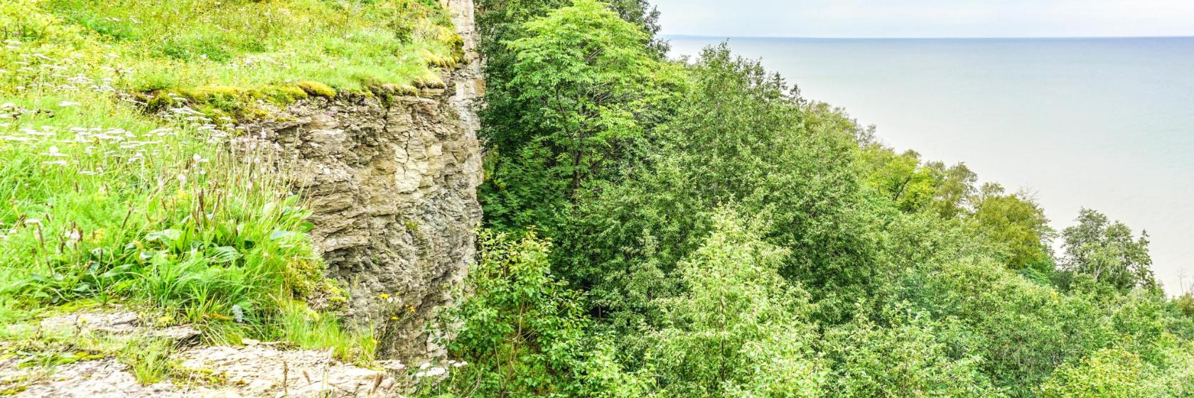 The 10 best hotels near Ontika Limestone cliff in Kohtla-Järve, Estonia