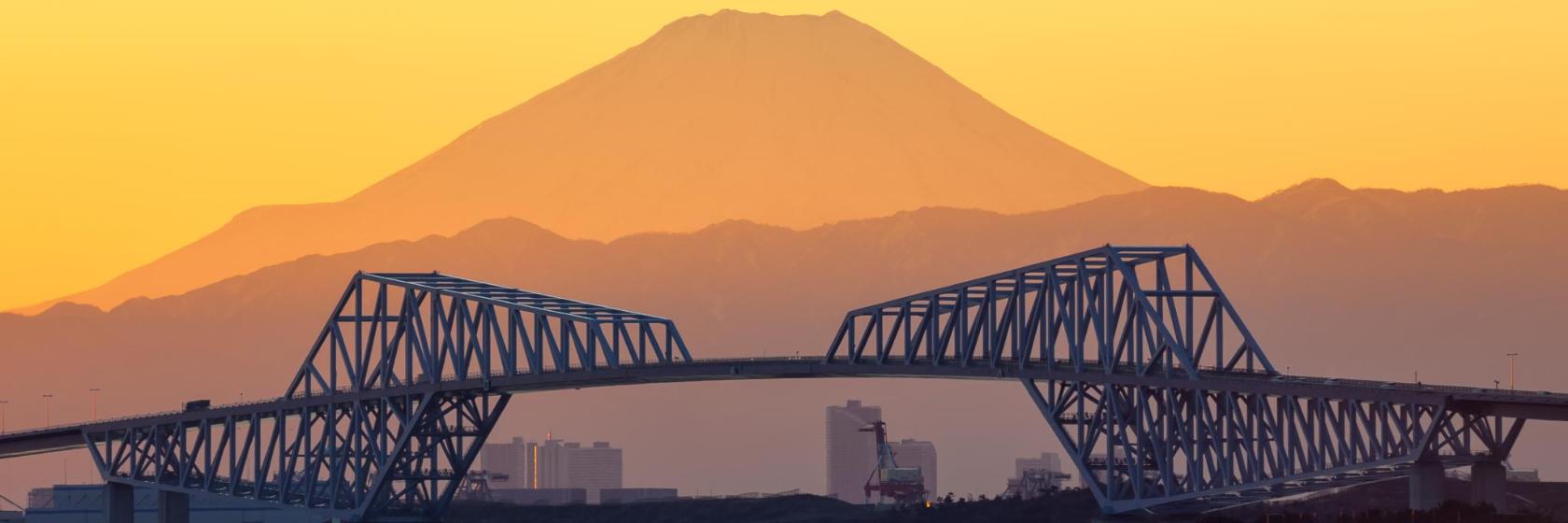 The 10 best hotels close to Tokyo Gate Bridge in Tokyo, Japan