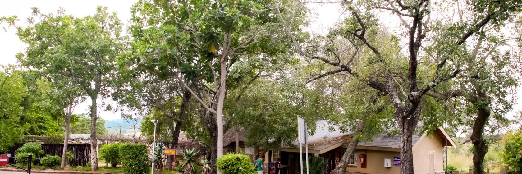 The 10 best hotels near Numbi Gate in Hazyview, South Africa