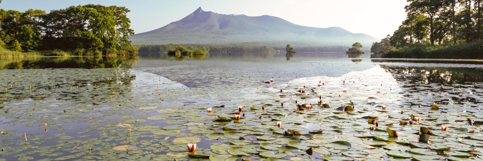 The best hotels near Onuma Park in Nanae, Japan