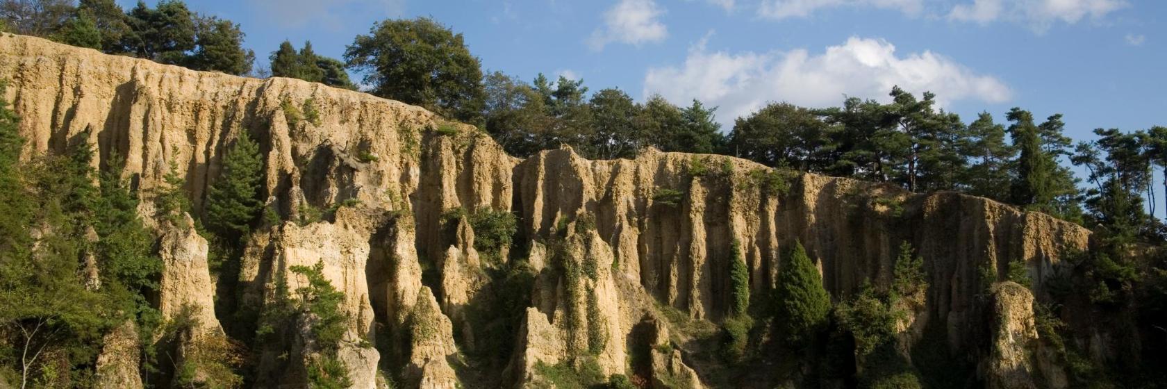 The 10 best hotels close to Awa-Odori Community Hall in Tokushima, Japan