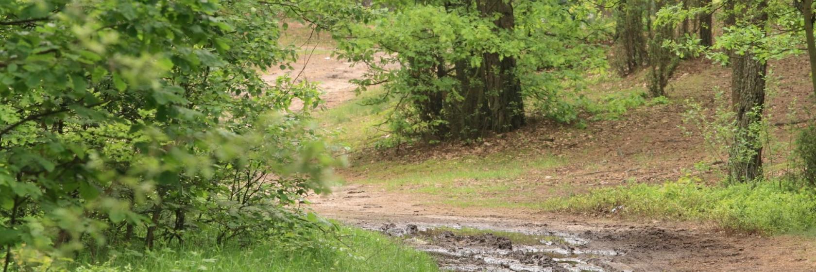 The 10 best hotels close to Woodgate Valley Country Park in Birmingham ...