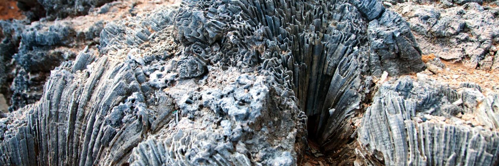 The 10 best hotels near Windley Key Fossil Reef Geological State Park ...