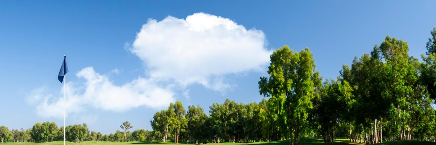 The 10 best hotels near Plantation Golf Course in Terrytown, United States