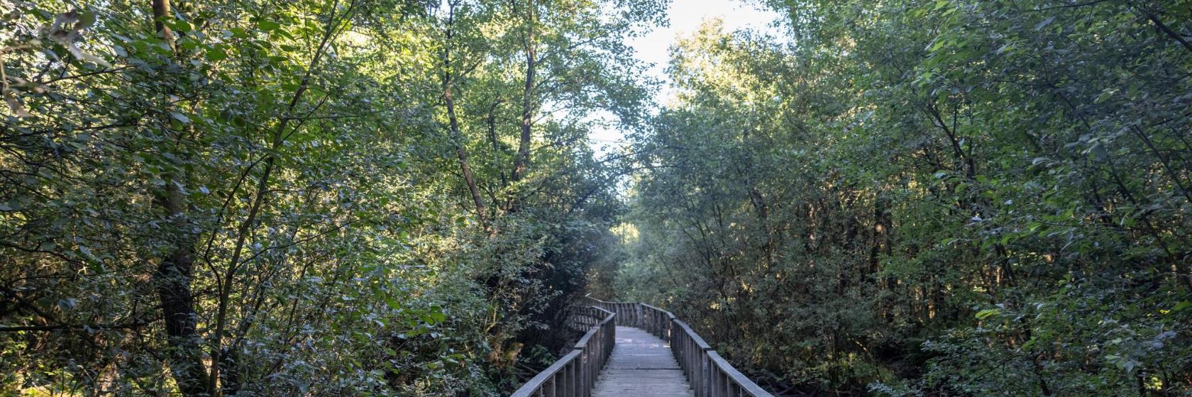 The best hotels close to Stellmoor-Ahrensburg tunnel valley in Hamburg ...