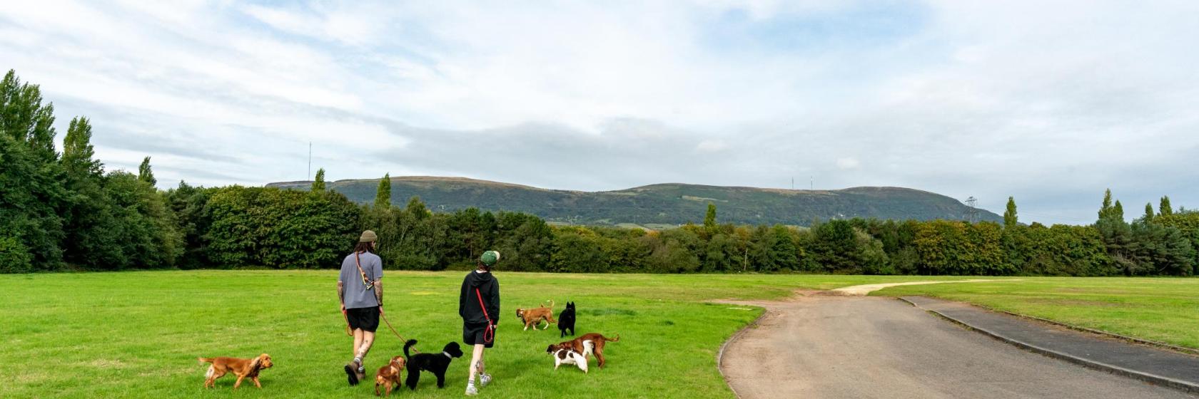 The 10 best hotels close to Boucher Playing Fields in Belfast, United ...