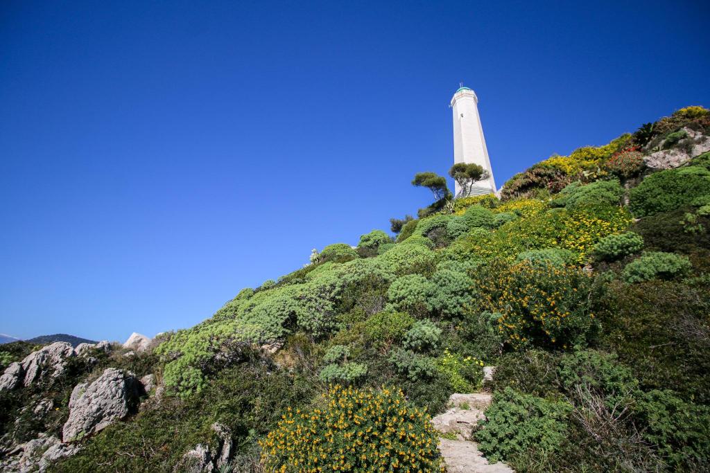 Grand-Hôtel du Cap-Ferrat, Saint-Jean-Cap-Ferrat, France - Booking.com