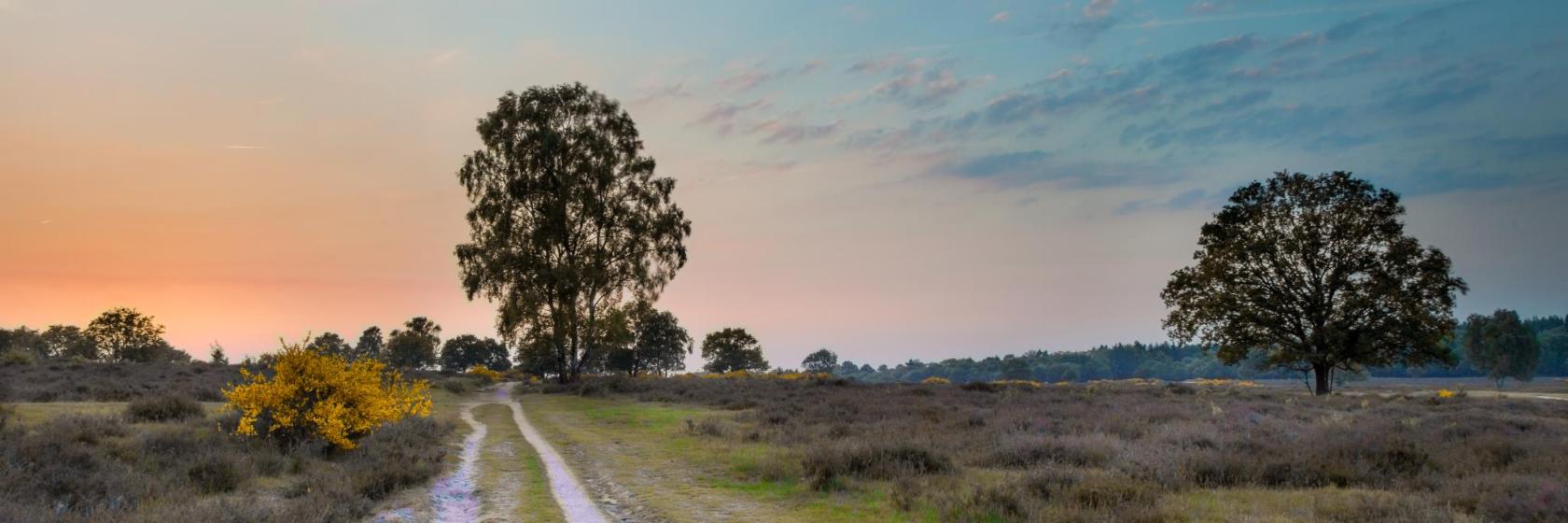 Utrecht Hill Ridge : les meilleurs hôtels – Où séjourner dans cette ...