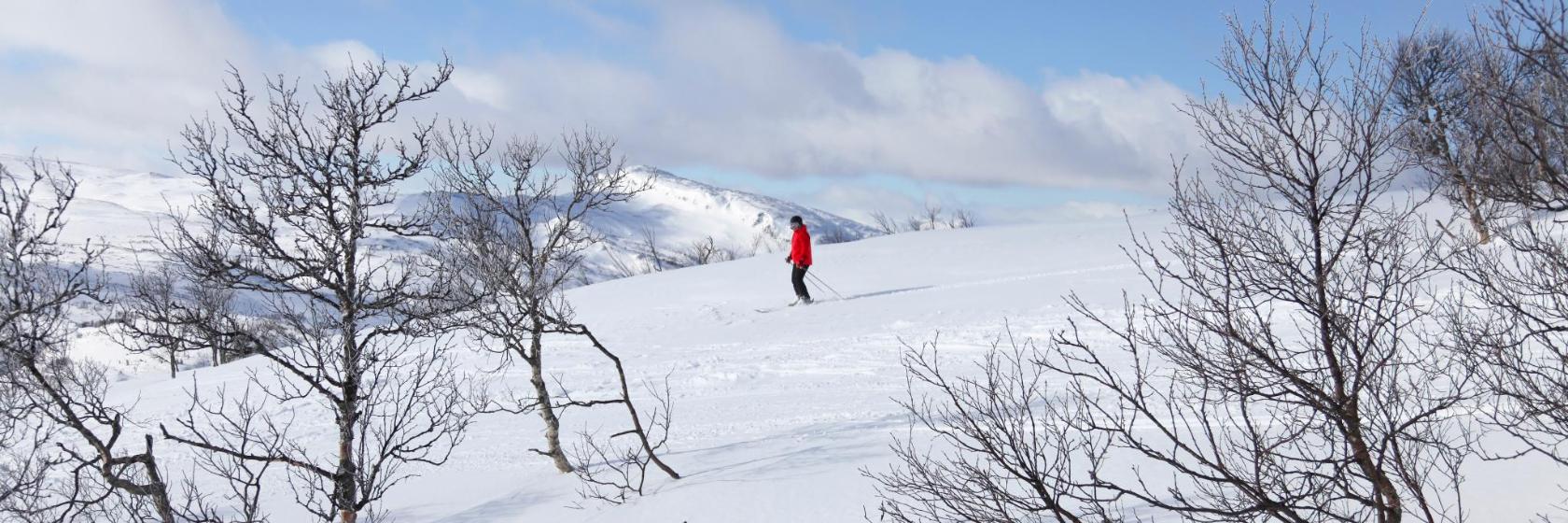 The Best Storlien Hotels – Where To Stay in and around Storlien, Sweden