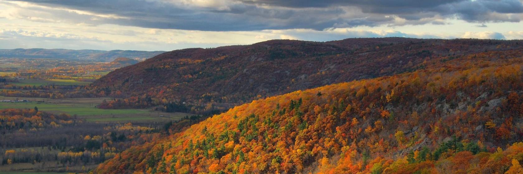 The Best Ottawa Valley Hotels – Where To Stay in and around Ottawa ...