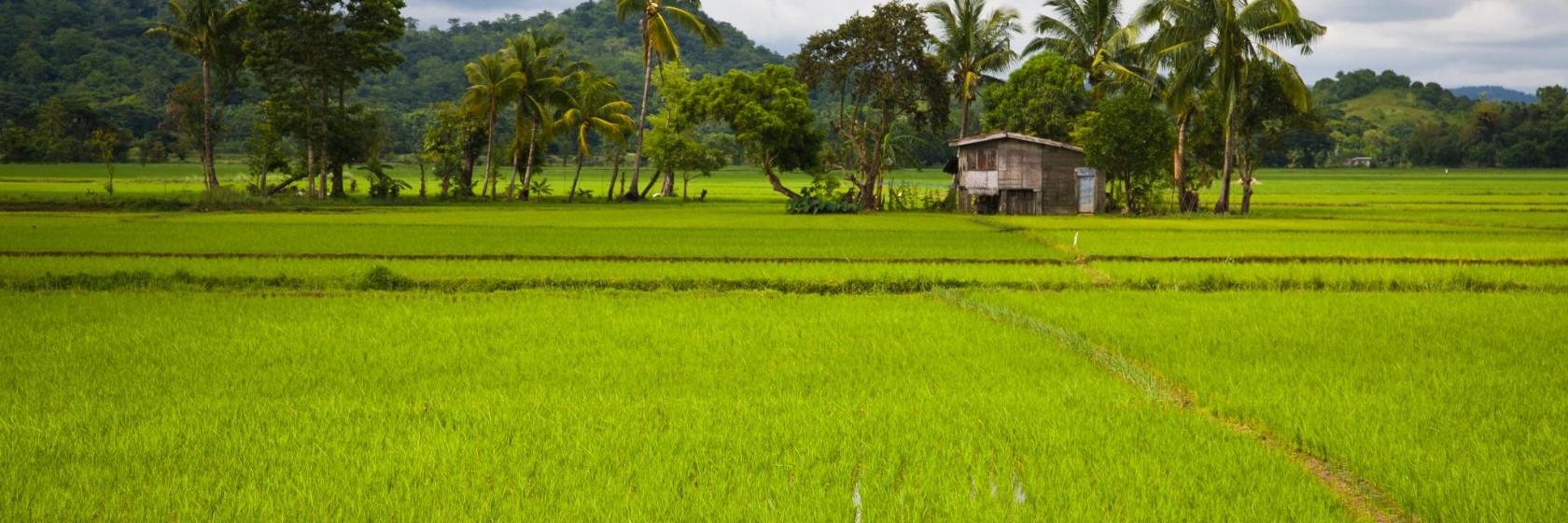 The Best Mindoro Hotels – Where To Stay on and around Mindoro, Philippines