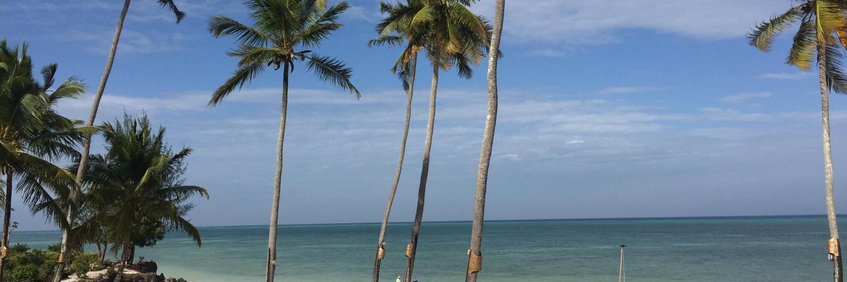 The Best Kinondoni Hotels – Where To Stay in and around Kinondoni, Tanzania