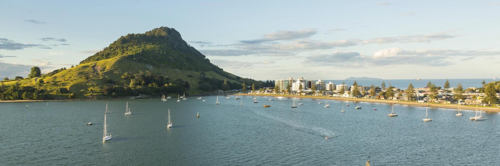 The Best Bay of Plenty Hotels – Where To Stay in and around Bay of ...