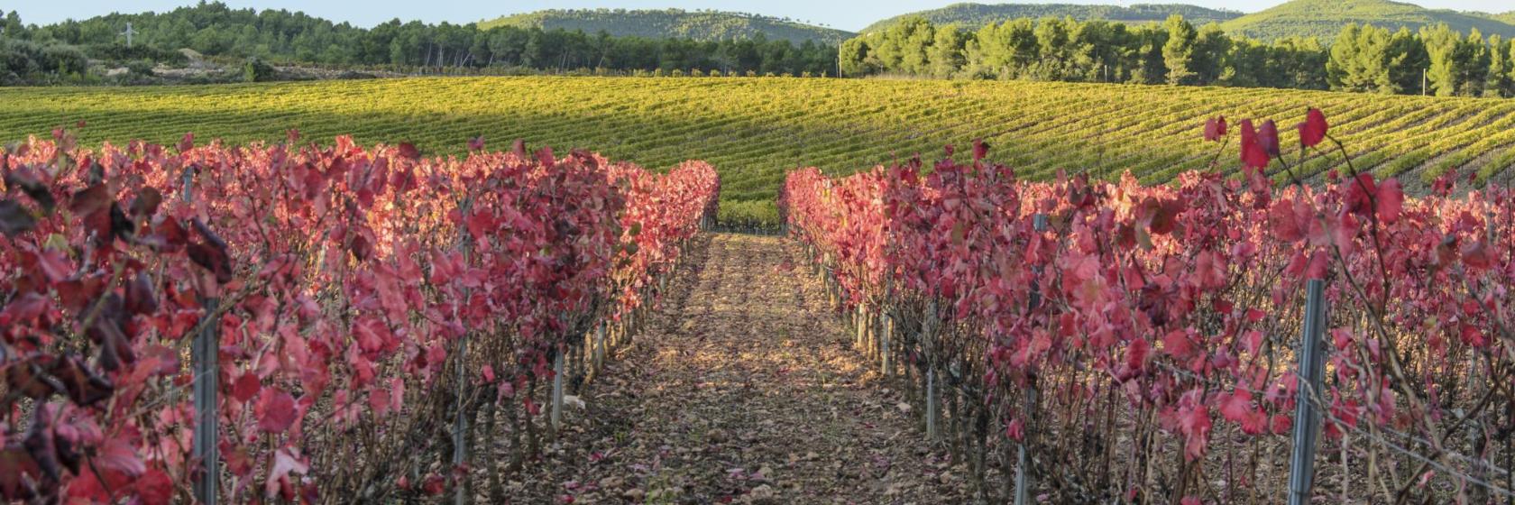 The Best Priorat Hotels – Where To Stay in and around Priorat, Spain