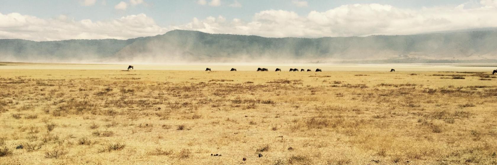 The Best Karatu Administrative District Hotels – Where To Stay in and ...