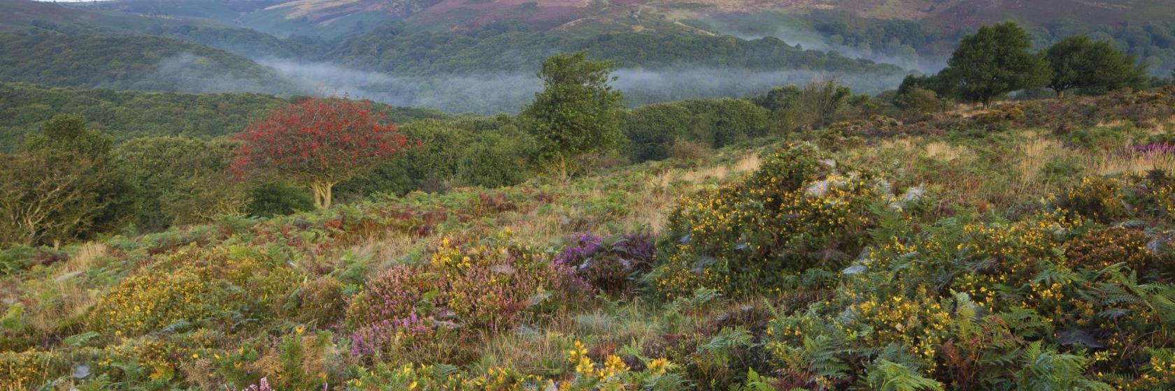 The Best Quantock Hills Hotels – Where To Stay in and around Quantock ...