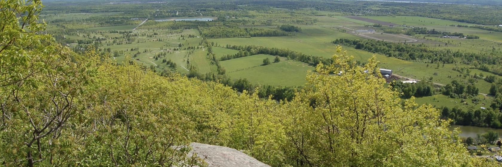 The Best Ottawa and Countryside Hotels – Where To Stay in and around ...