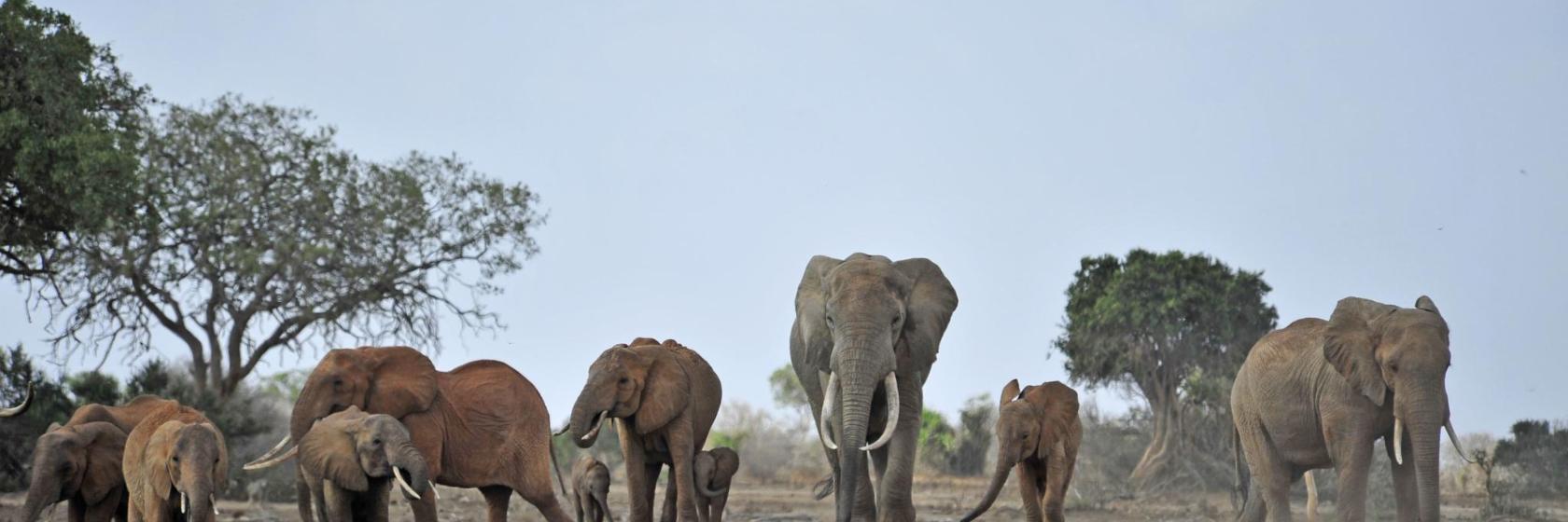 The Best Makueni Hotels – Where To Stay in and around Makueni, Kenya