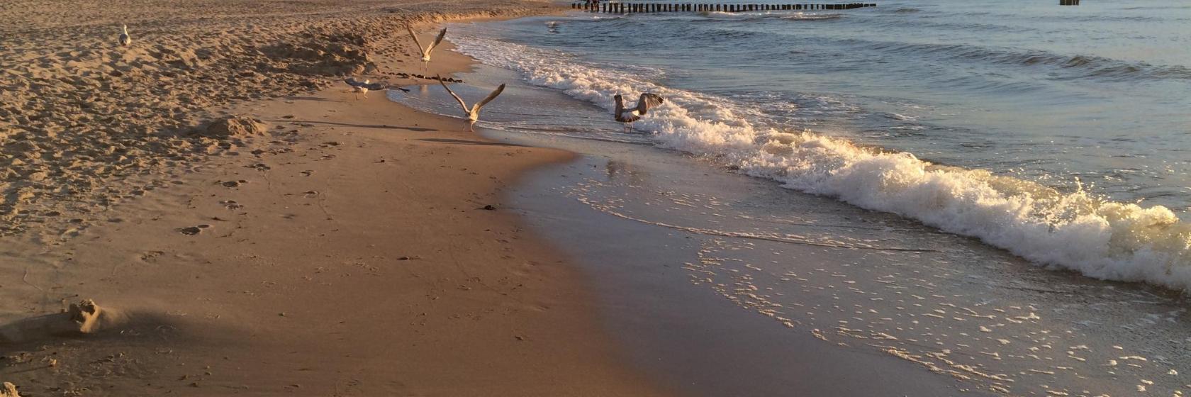 The Best Jamno Lake Hotels – Where To Stay in and around Jamno Lake, Poland