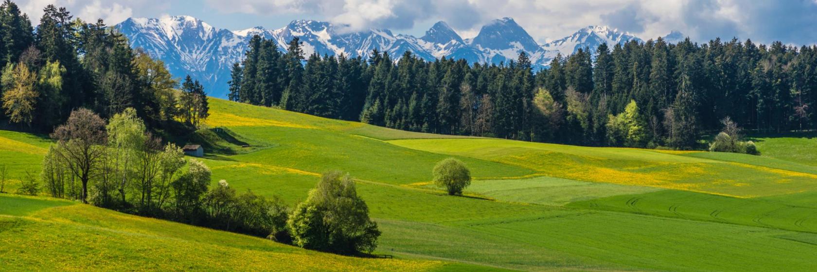 Emmental: die besten Hotels – Unterkünfte in und um die Region Emmental ...