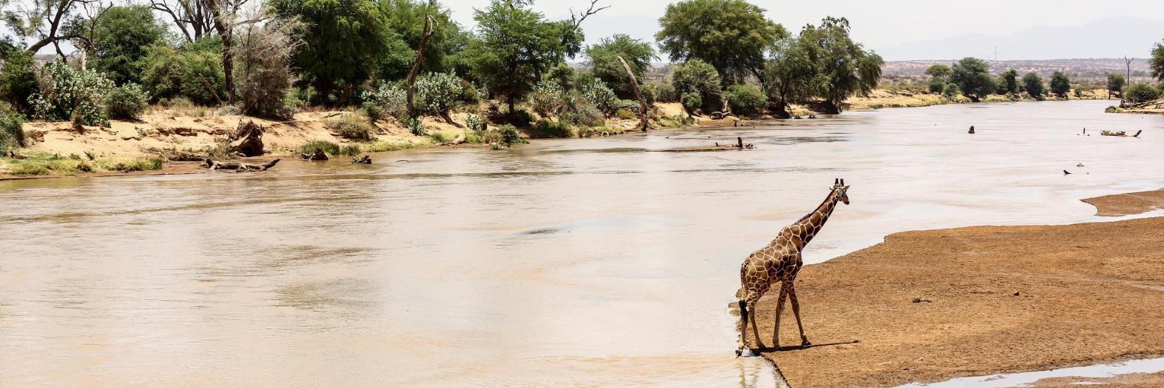 The Best Isiolo Hotels – Where To Stay in and around Isiolo, Kenya