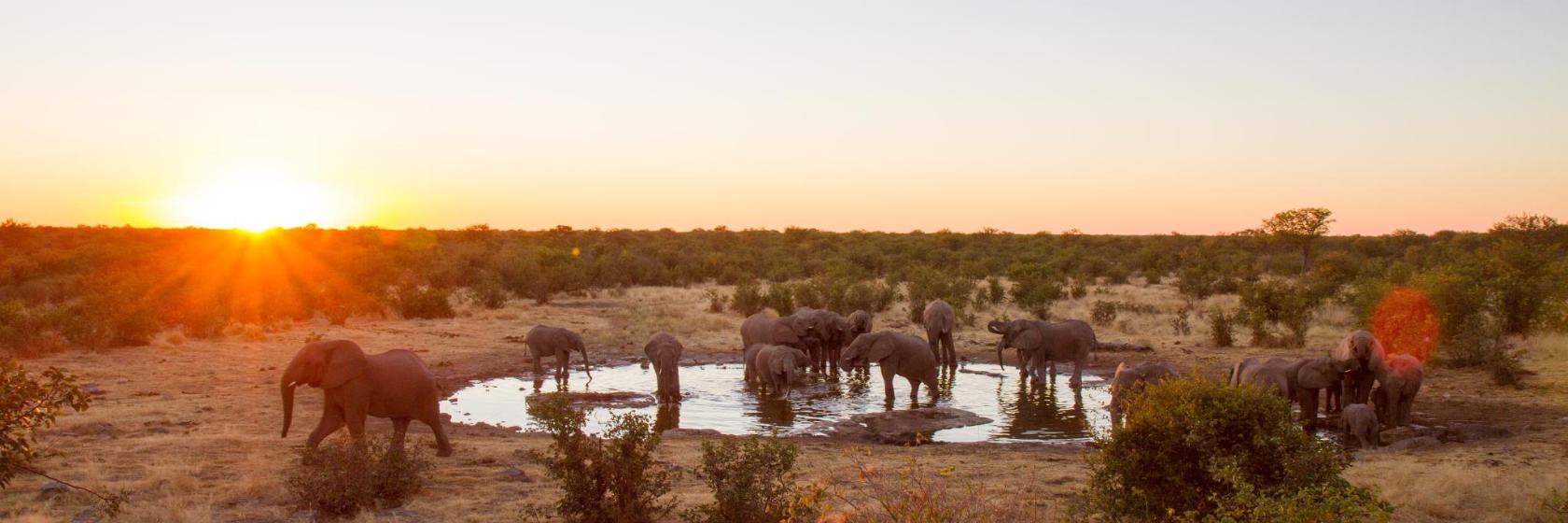 The Best Bela-Bela Hotels – Where To Stay in and around Bela-Bela ...