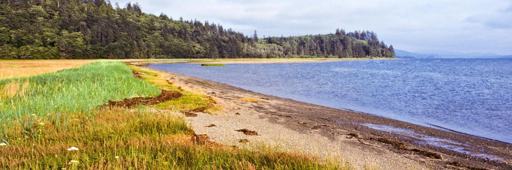 The Best Washington Coast Hotels – Where To Stay in and around ...