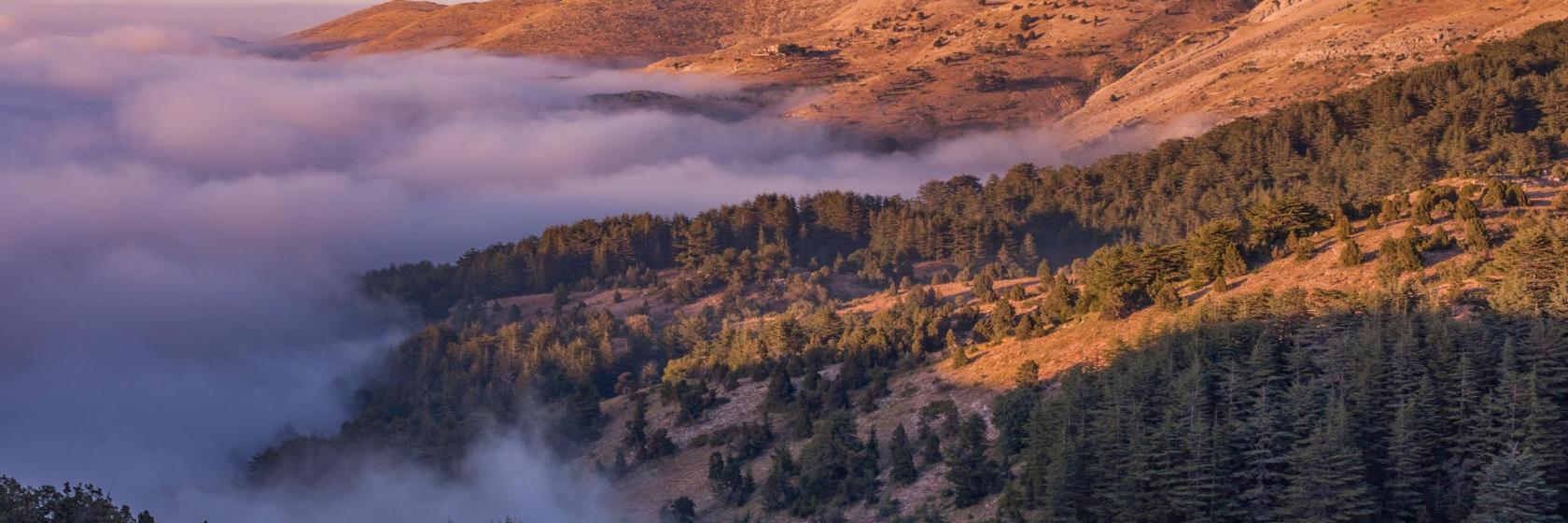 The Best Mount Lebanon Hotels – Where To Stay in and around Mount ...