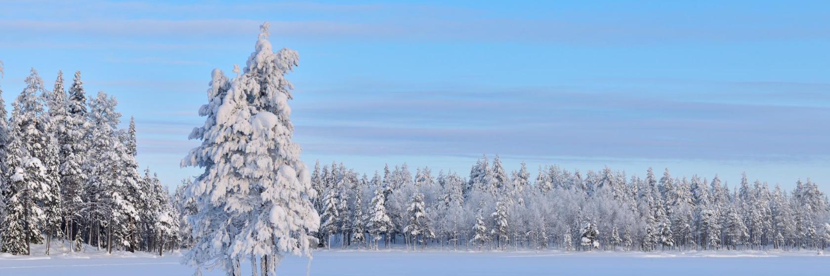 The Best Northern Savonia Hotels – Where To Stay in and around Northern ...