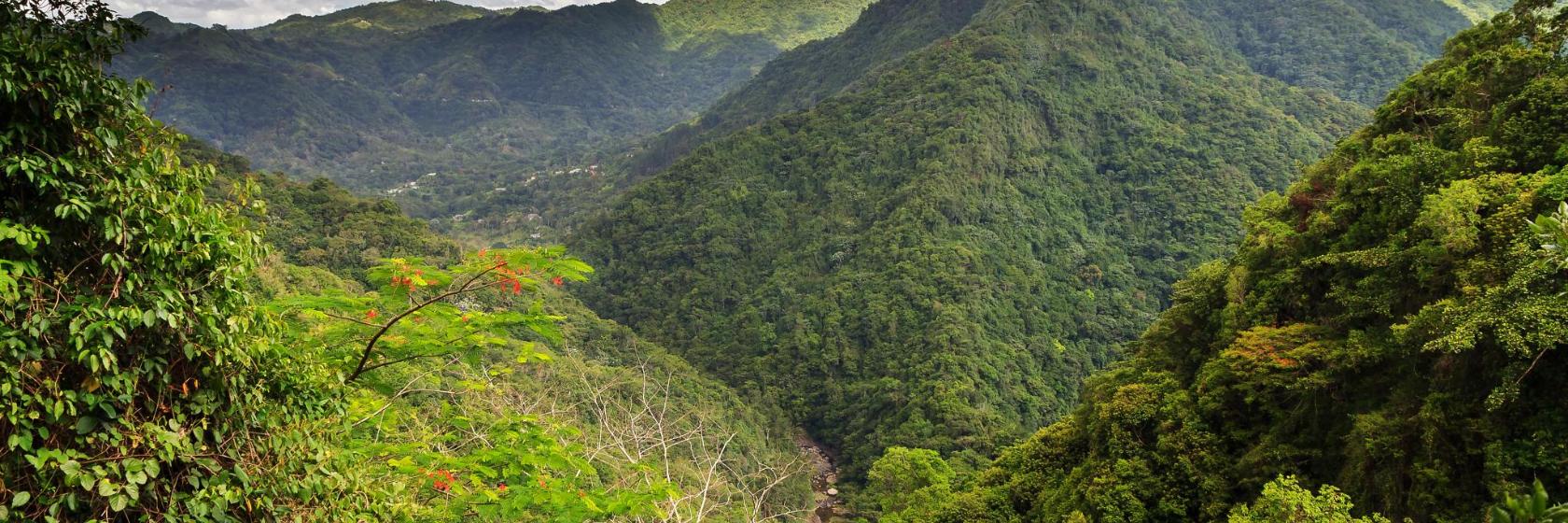 The Best Central Puerto Rico Hotels – Where To Stay in and around ...