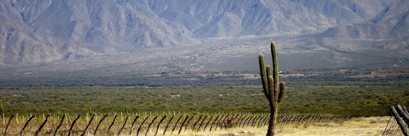 The Best Salta Wine Route Hotels – Where To Stay in and around Salta ...