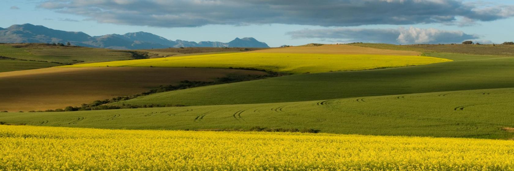 The Best Caledon Hotels – Where To Stay in and around Caledon, South Africa