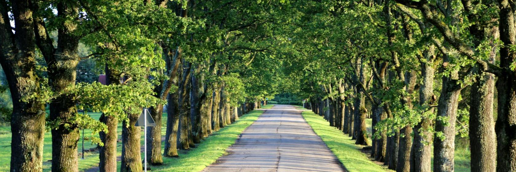 Labākās viesnīcas reģionā Gulbenes novads – uzturēšanās reģionā ...