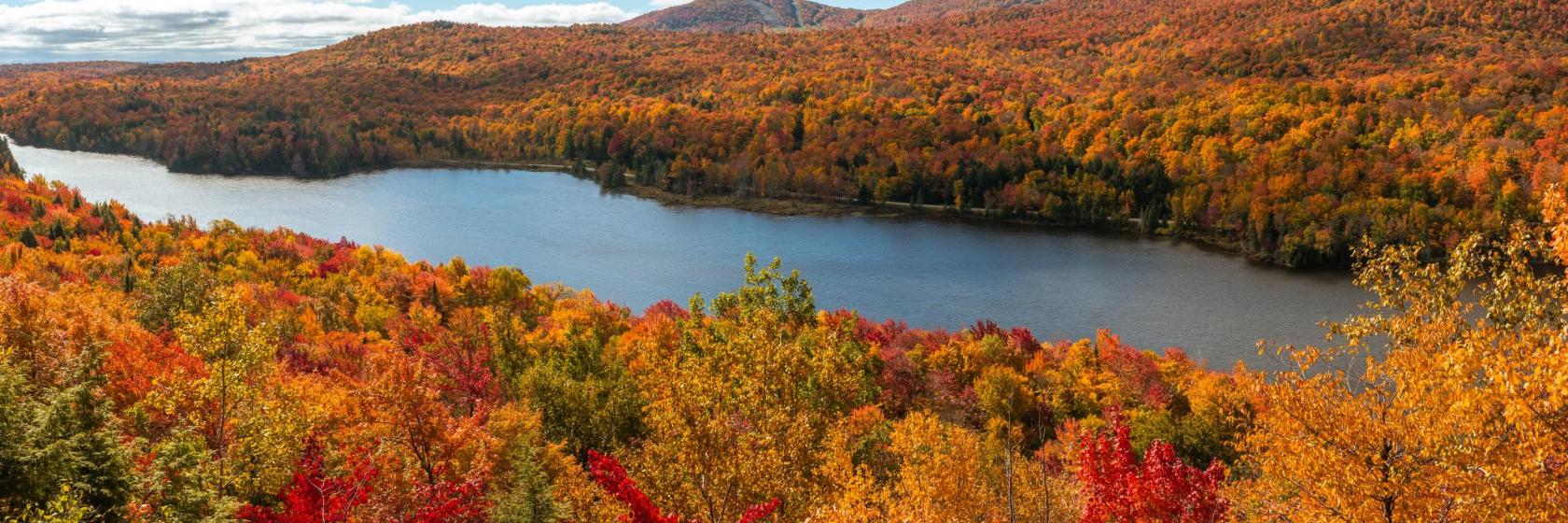 The Best Magog-Orford Hotels – Where To Stay in and around Magog-Orford ...