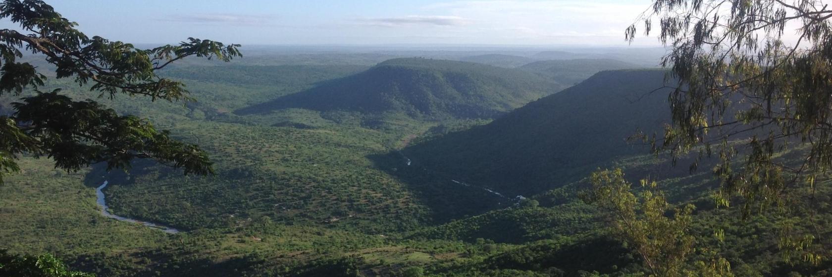 The Best Kwale Hotels – Where To Stay in and around Kwale, Kenya