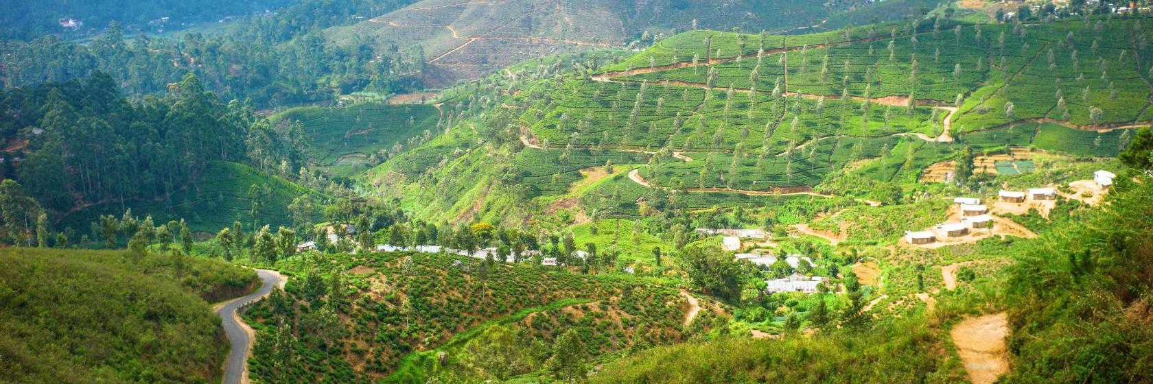 The Best Badulla District Hotels – Where To Stay in and around Badulla ...