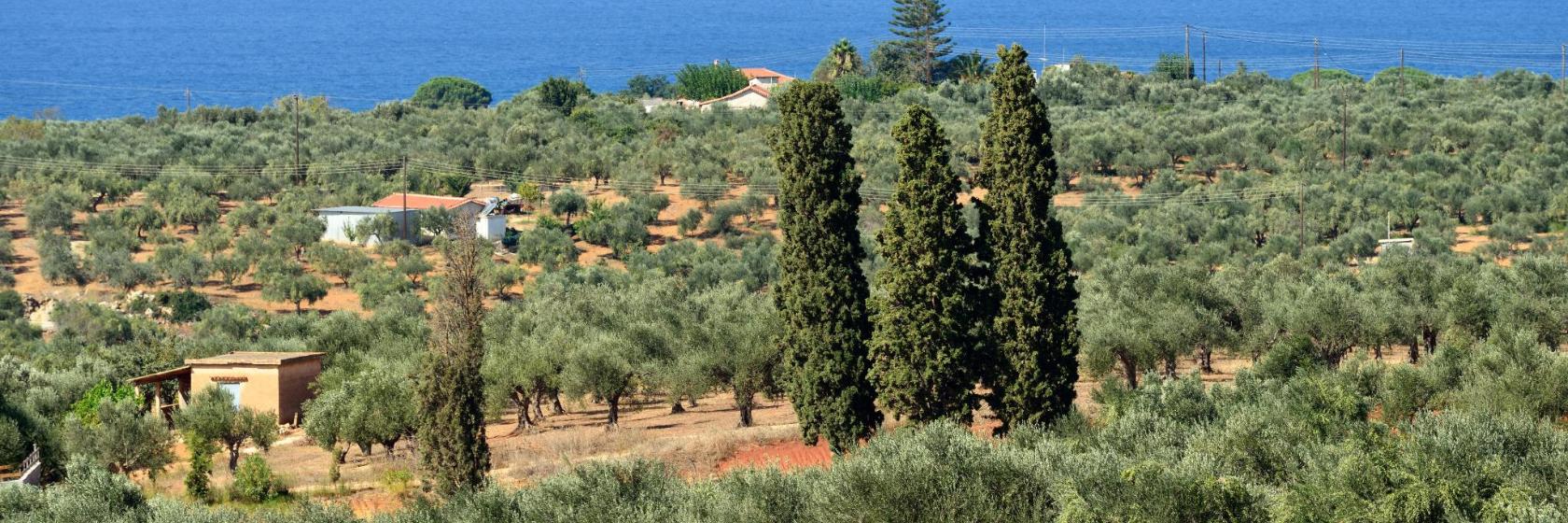 The Best Messinia Hotels – Where To Stay in and around Messinia, Greece