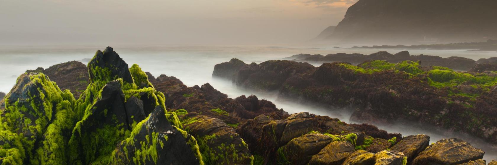 The Best Dhofar Hotels – Where To Stay in and around Dhofar, Oman